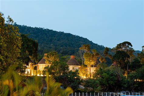 Gallery Bird Nest Villas By Mafiya