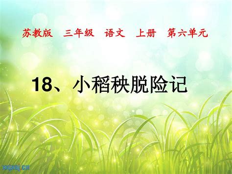 苏教版 三年级语文上册课件 小稻秧脱险记 2 word文档在线阅读与下载 无忧文档
