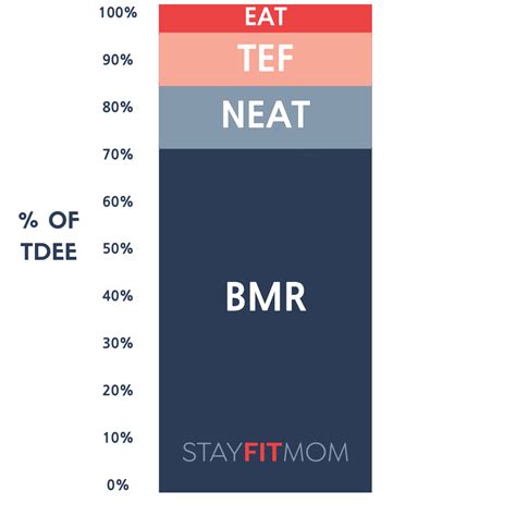 What Is Tdee Stay Fit Mom