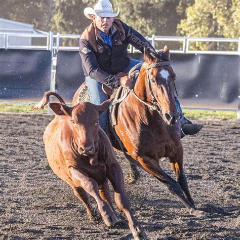 Campdraft Memes Thanks To Rhys For This One Facebook