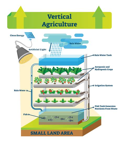 What Is Hydroponics And How Does It Work
