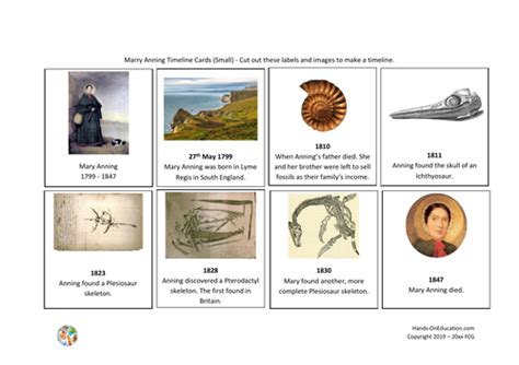 Ks2 Fossils Bundle Hands On Education Teaching Resources