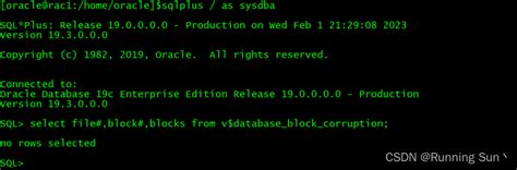 Oracle坏块修复步骤（索引坏块rebuild和表表坏块用rmandbmsrepair恢复） Csdn博客