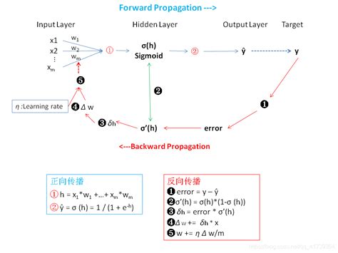 神经网络计算流程 Csdn博客