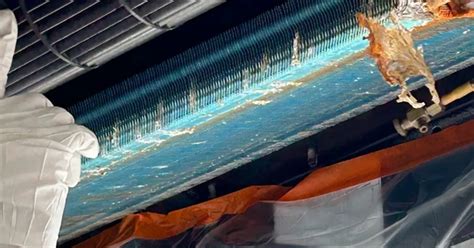 인천 지역에서 신청했는데 기사님이 친절하셨어요~ 시간 맞춰서 와 주셨고 현 상태와 작업 설명 잘해 주셨습니다 다음에 또 청소할 때 연락드리겠습니다 숨고 숨은고수