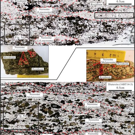 Oriented Thin Section Microphotographs Plane‐polarized Light And Hand