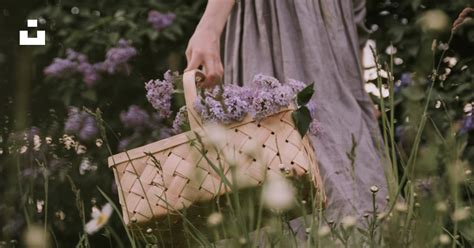 꽃밭에서 바구니를 들고 있는 여자 사진 Unsplash의 무료 바구니 이미지