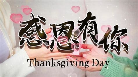 4k感恩节感恩有你背景视频mp44k视频素材下载 编号4365426 潮点视频