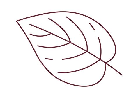 Premium Vector Leaf Linear Icon