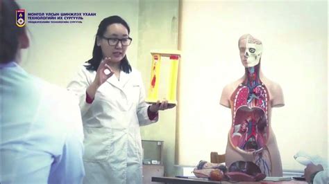 Хоолзүй шим судлал Youtube