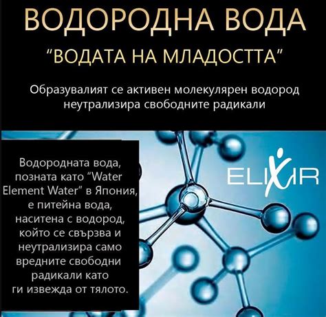 Бутилка за водородна вода Elixir 0 26 Ml сребриста Ozone Bg
