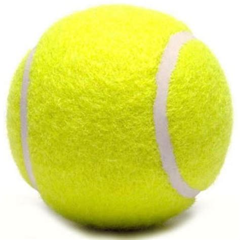 Tennis Ball Battle For Object Apartment Wiki Fandom