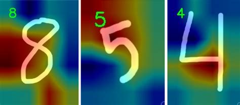 Pytorch Class Activation Map Using Custom Trained Model