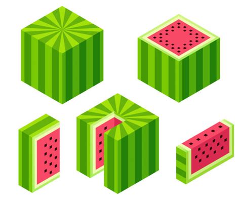 120 Biji Semangka Ilustrasi Grafik Vektor And Clip Art Bebas Royalti