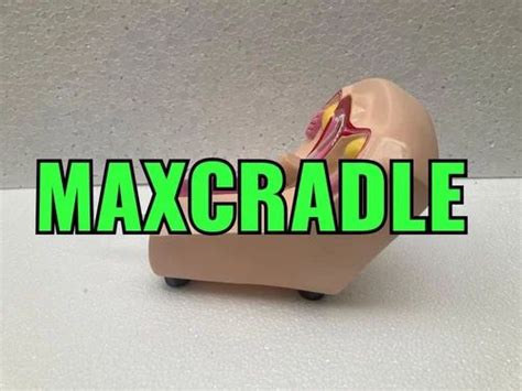 Iud Training Model At ₹ 1000piece Human Anatomical Models In Ambala Id 2849121108412