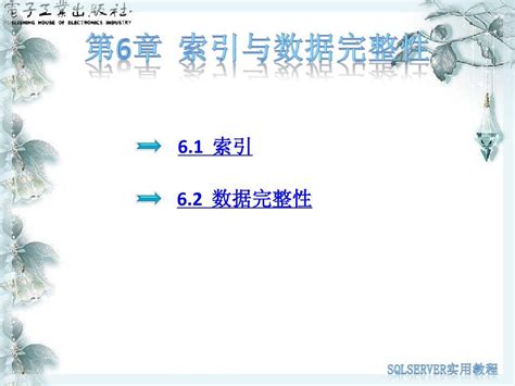 第6章 索引与数据完整性word文档在线阅读与下载无忧文档