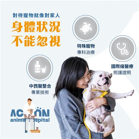 高雄亞幸動物醫院 高雄中獸醫推薦爬蟲爬寵、針灸、四級雷射、復健推拿【亞幸動物醫院】