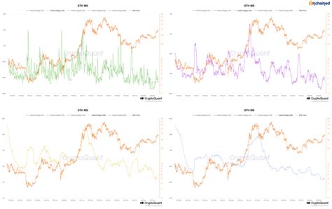 Decoding Bitcoin Dynamics Unveiling Insights From Liquid Supply And Market Trends Cryptoquant