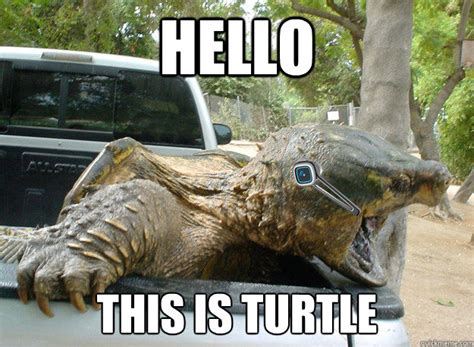 Hello Turtle Memes Quickmeme