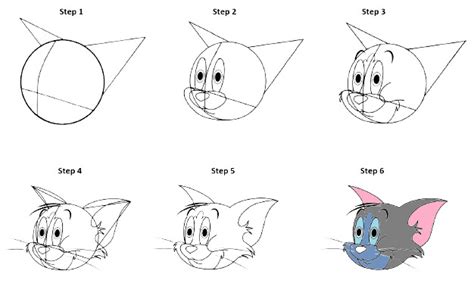 How To Draw Tom Cat Easy Drawing Step By Step