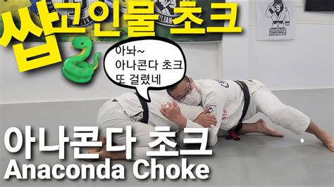 터틀포지션 초크 Turtle Position Choke 기술도움 김정주 Youtube
