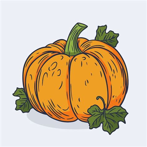 Hand Getrokken Pompoen Tekening Illustratie Premium Vector