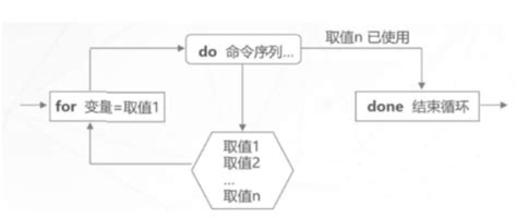 Linux之shell脚本循环语句for While Untillinux脚本循环 Csdn博客