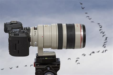 Canon Ef Mm F L Is Usm Test Review Erfahrungsbericht