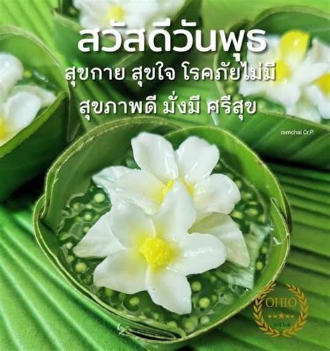 ปักพินโดย Khun Aey ใน Happy Wednesday สวัสดีตอนเช้า วันพุธ