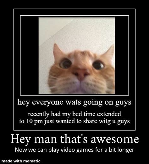 Epic Time Rokbuddyretard Staring Cat Gusic Know Your Meme