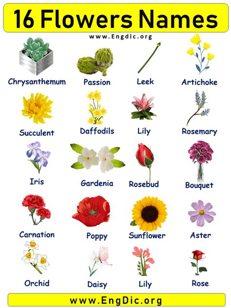 15 Flowers Names With Pictures Artofit