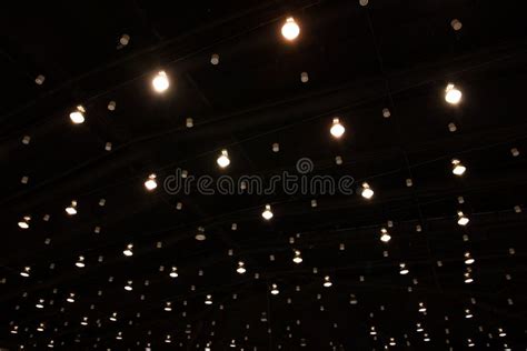 Exhibition Hall With Ceiling Lights Background Stock Image Image Of