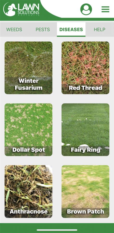 The Lawn Solutions Australia App Lawn Solutions Australia