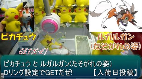 Ufoキャッチャー ピカチュウとルガルガンたそがれの姿dリング設定でgetだぜ【入荷日投稿】 Youtube