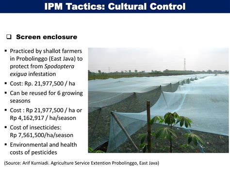 Ppt Ipm Tactics For Vegetable Crops In Indonesia Powerpoint