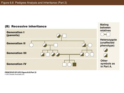 Holtzclaw Starts On Page Ppt Download