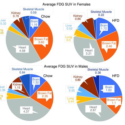 Sex And Diet Both Influence Fdg Uptake In The Skeletal Muscle A