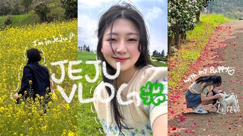 Vlog 3박 4일 제주도 여행 브이로그 Jeju Travel Vlog 애견동반 여행우진해장국우도겹동백길함덕해수욕장동문시장카페먹방강아지바다일상흑돼지