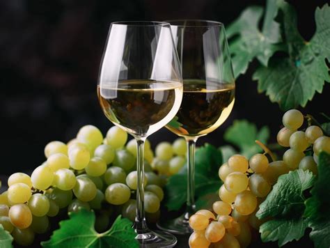 Chardonnay Vs Sauvignon Blanc A Deep Dive Into White Wine Varietals