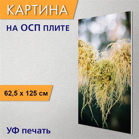 Вертикальная картина "Мох, завод, растительность" для интерьера на ...