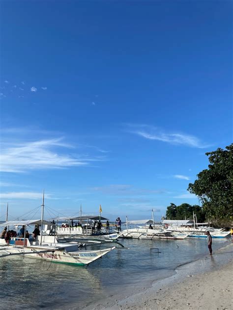 필리핀 보홀 직항티켓 입국 출국 서류 총정리e 트래블 영문접종증명서 공항세 등 네이버 블로그
