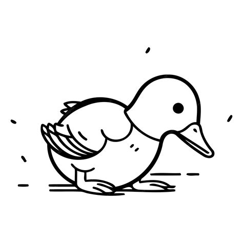 Premium Vector Duck Vector Illustration Of A Cute Duck On A White