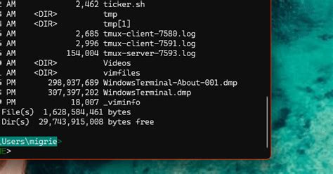 The Vertical Scrollbar Thumb Does Not Expand To Full Size Issue Microsoft Terminal