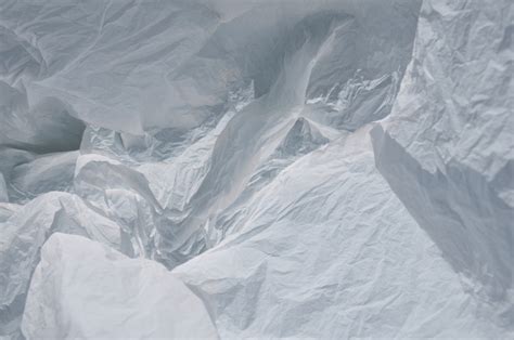 Force Eloise Lamb Gcse Photography