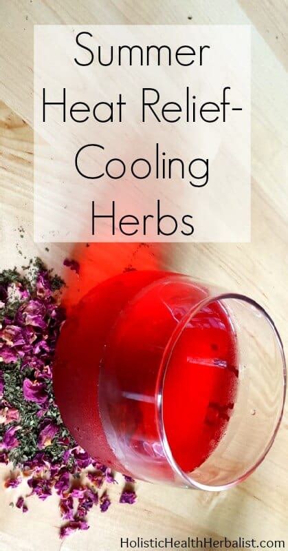 Summer Heat Relief Cooling Herbs Holistic Health Herbalist