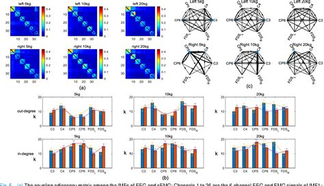 Figure 4 From Analysis Of Multiscale Corticomuscular Coupling Networks