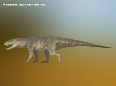Prestosuchus Chiniquensis Paleohistoric By Paleohistoric On Deviantart