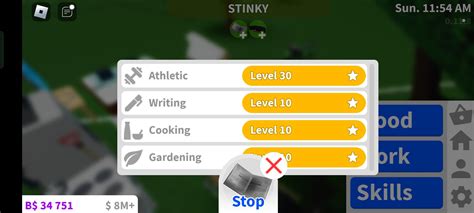 I Just Maxed Out Every Skill Rbloxburg