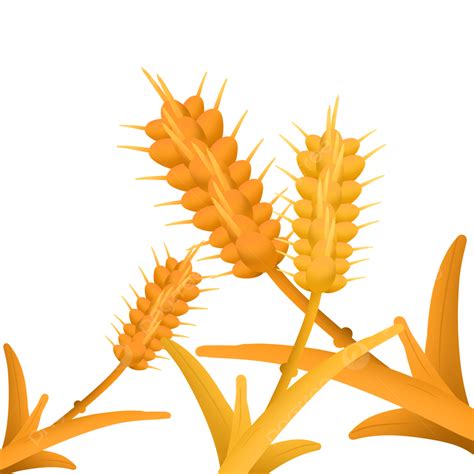 Trigo Dorado De Otoño Png Otoño Dorado Trigo Png Y Psd Para