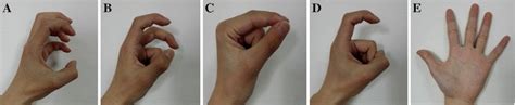 The Five Kinds Of Grab Gesture Samples A Five Fingers Grasp B Three